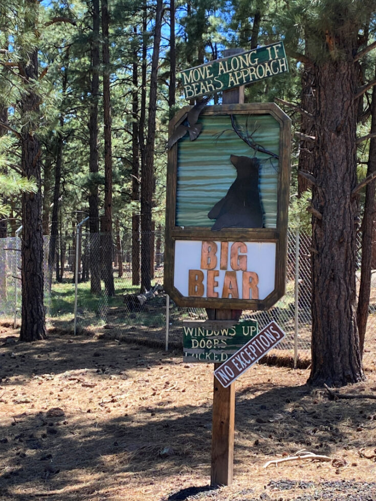 Bearizona Wildlife Park Review in Northern Arizona