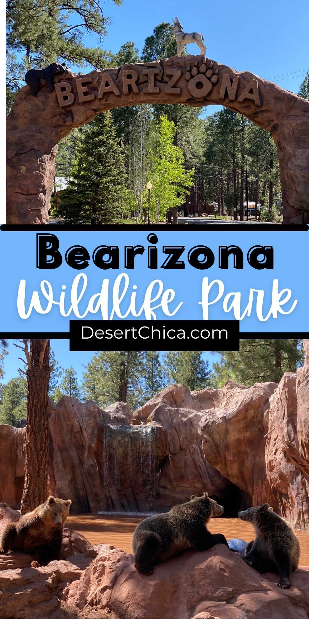 Bearizona Wildlife Park Review in Northern Arizona