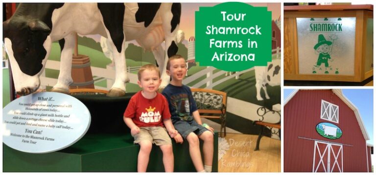 Shamrock Farms Tour - Desert Chica