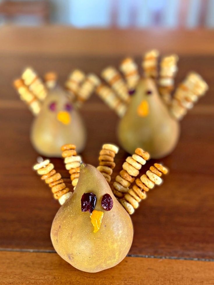 Turkey pear craft - Desert Chica
