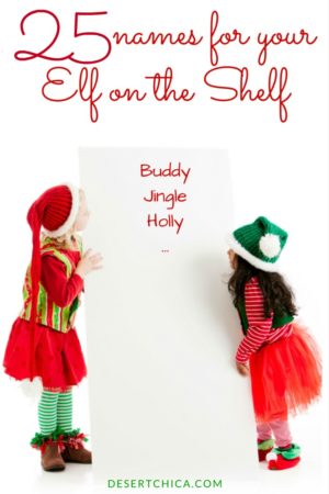 130 Elf On The Shelf Names - Desert Chica
