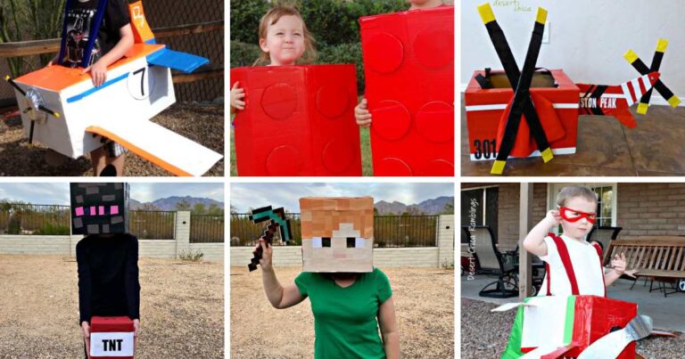 Cardboard Box Costume Ideas - Desert Chica