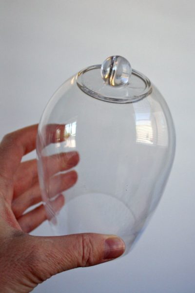 DIY Bell Jar | Beauty and the Beast Party Idea - Desert Chica