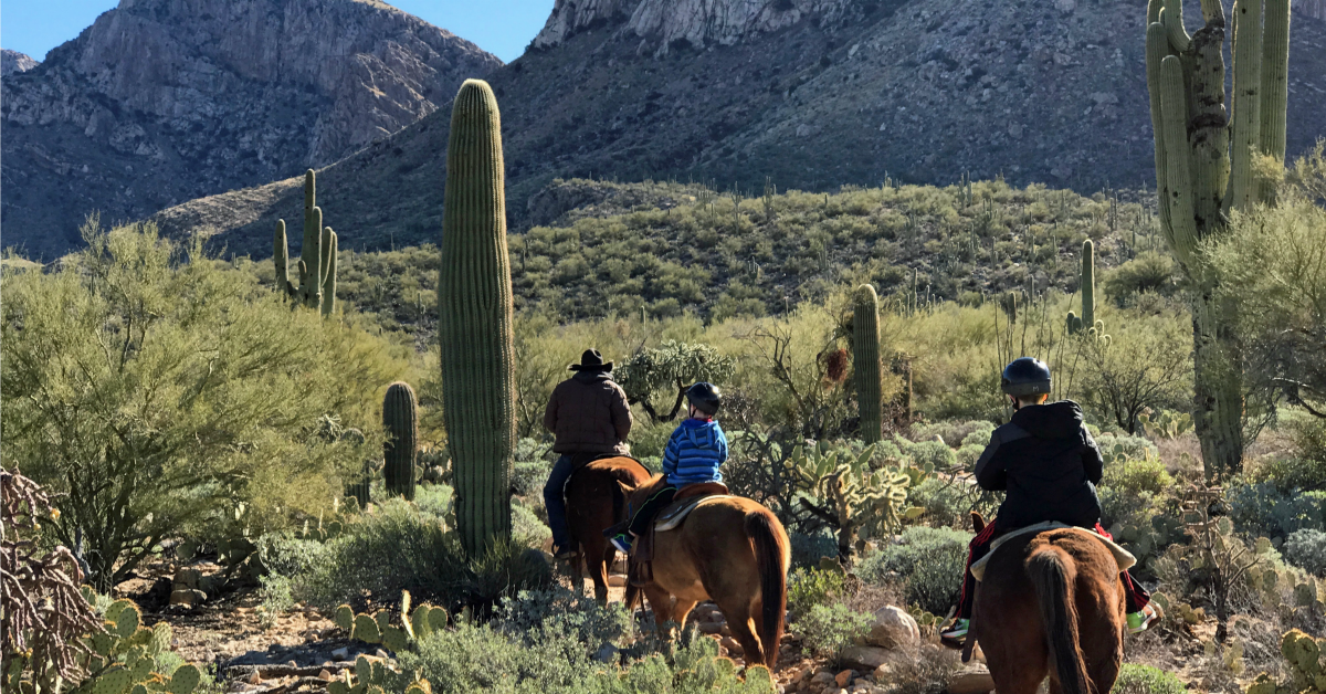Horseback Riding in Tucson - Desert Chica