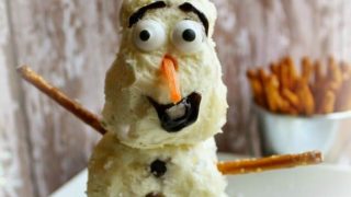 The Ultimate List of Olaf Ideas - Desert Chica