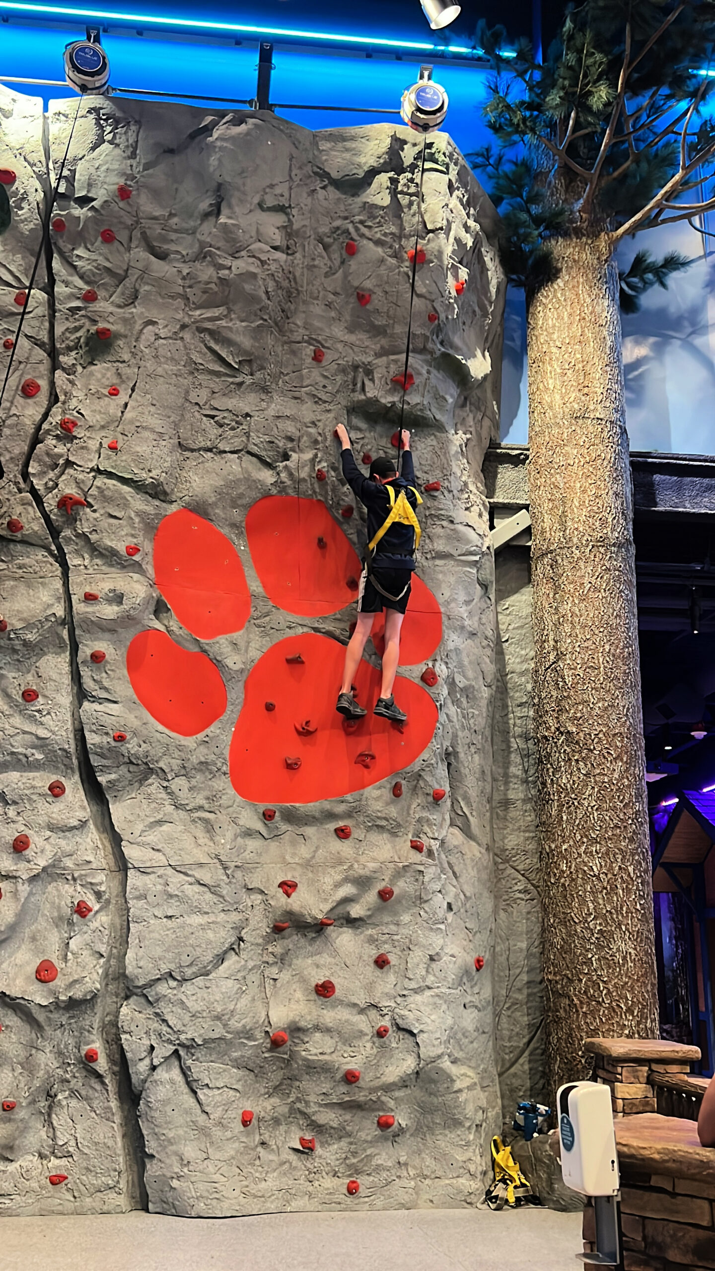 Great Wolf Lodge Arizona - Desert Chica